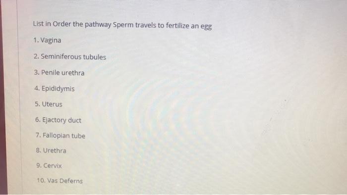 Solved List in order the pathway Sperm travels to fertilize | Chegg.com