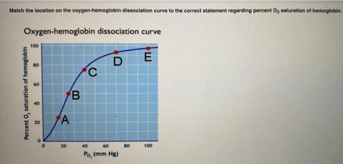 Solved Match the location on the oxygen-hemogiobin | Chegg.com