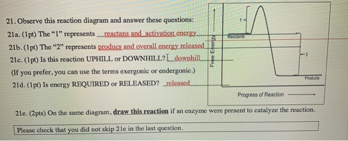 Solved 23g. (2pts) Draw the unstable intermediate molecule | Chegg.com