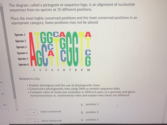 Solved The diagram, called a pictogram or sequence logo, is | Chegg.com