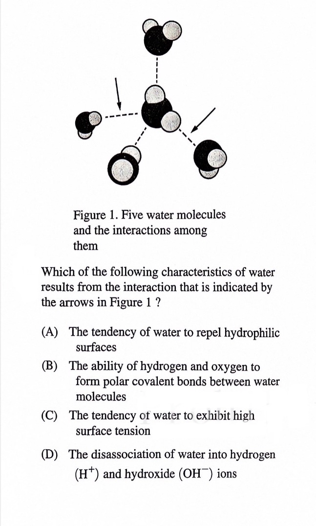 Solved 61) ﻿explain in detail why or why not choosing | Chegg.com