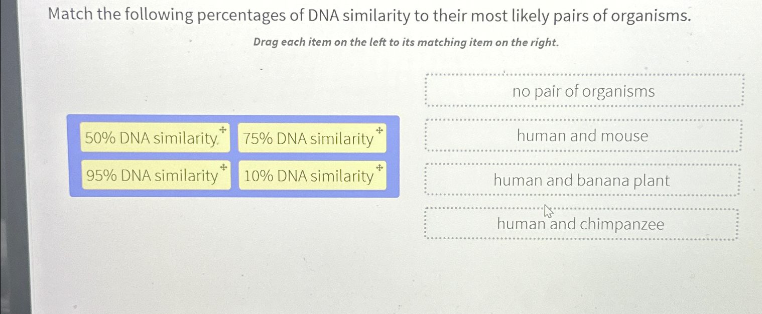 Solved Match the following percentages of DNA similarity to | Chegg.com