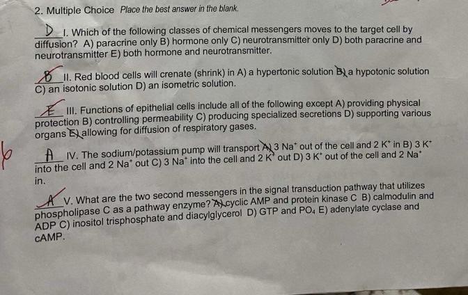 Solved 2. Multiple Choice Place the best answer in the | Chegg.com