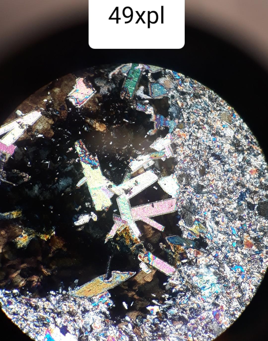 Solved every thin section is captured in plain and cross | Chegg.com