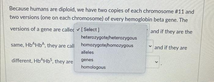 Solved Because humans are diploid, we have two copies of | Chegg.com