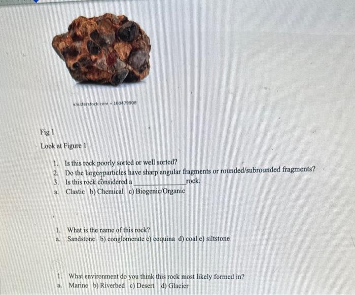 Solved Look at Figure 1 1. Is this rock poorly sorted or | Chegg.com