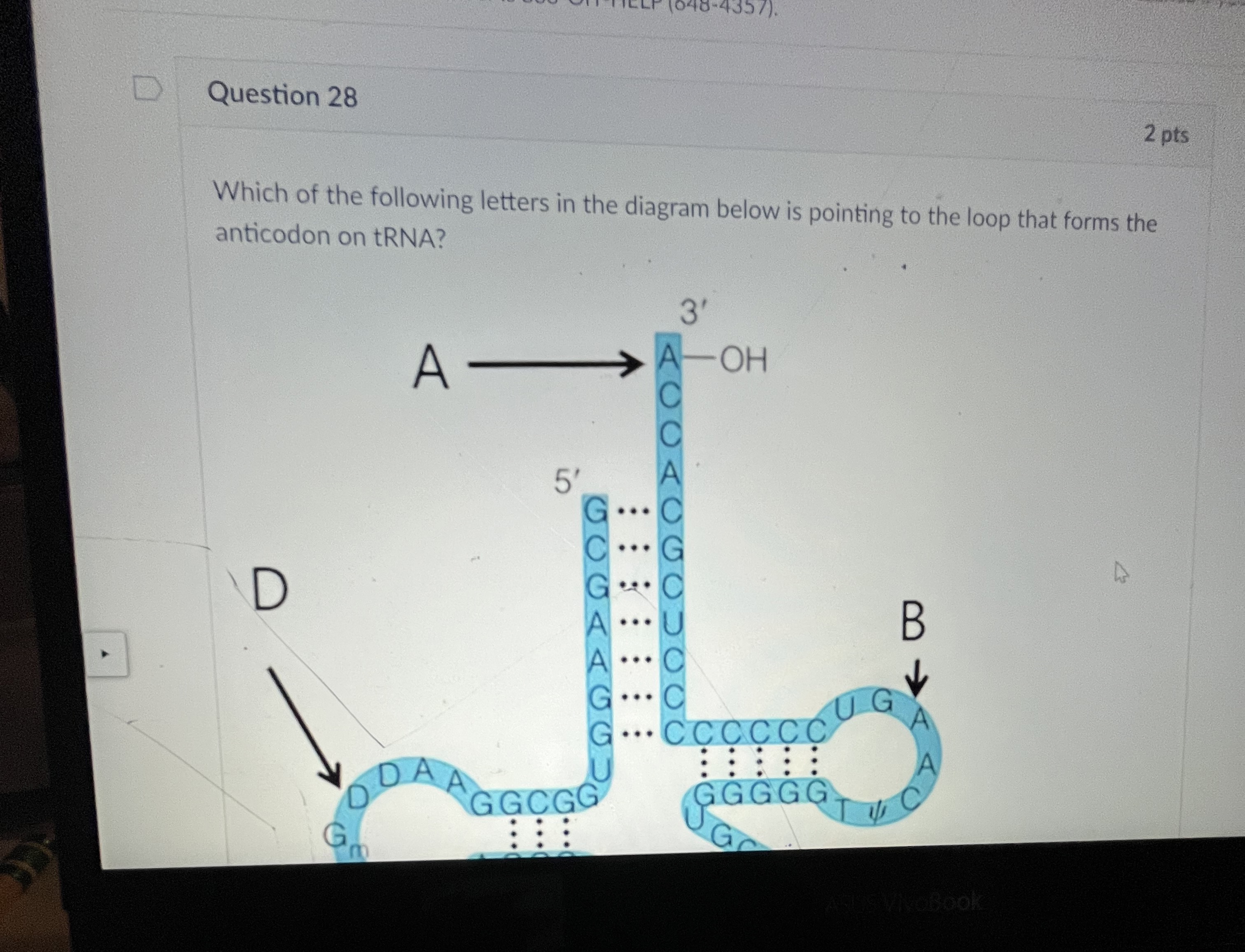 Solved Question 282 ﻿ptsWhich of the following letters in | Chegg.com