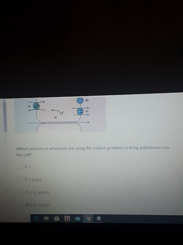 Solved D es or processes are using the sodium gradient to | Chegg.com