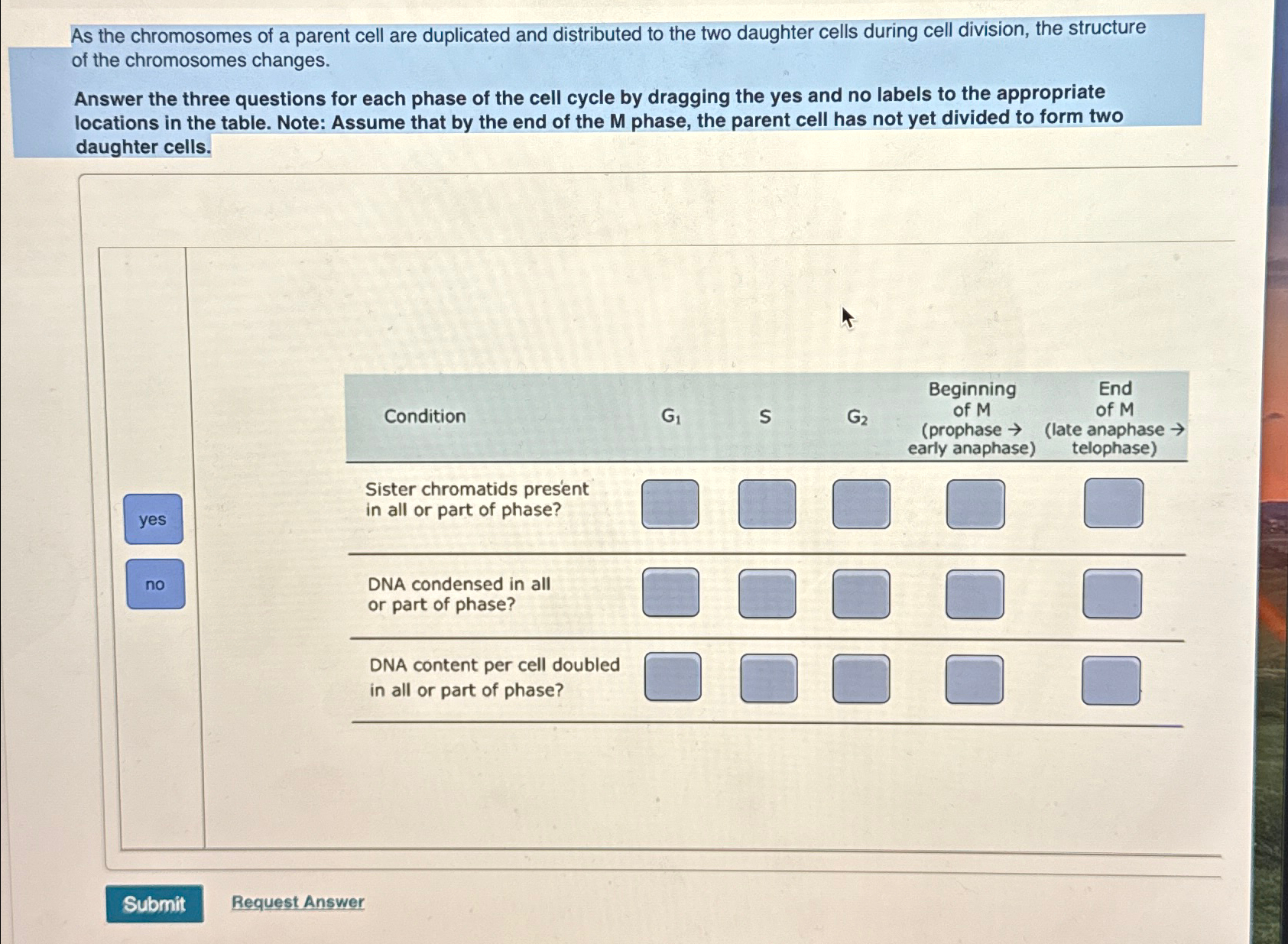 Solved As the chromosomes of a parent cell are duplicated | Chegg.com