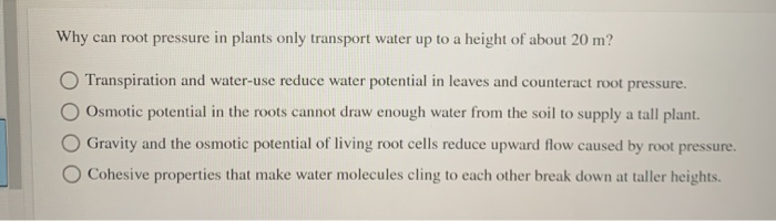 Solved Why can root pressure in plants only transport water | Chegg.com