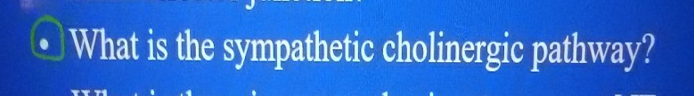 Solved What is the sympathetic cholinergic pathway? | Chegg.com