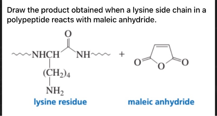 Solved Draw the product obtained when a lysine side chain in | Chegg.com