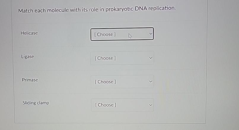 Solved Match each molecule with its role in prokaryotic DNA | Chegg.com