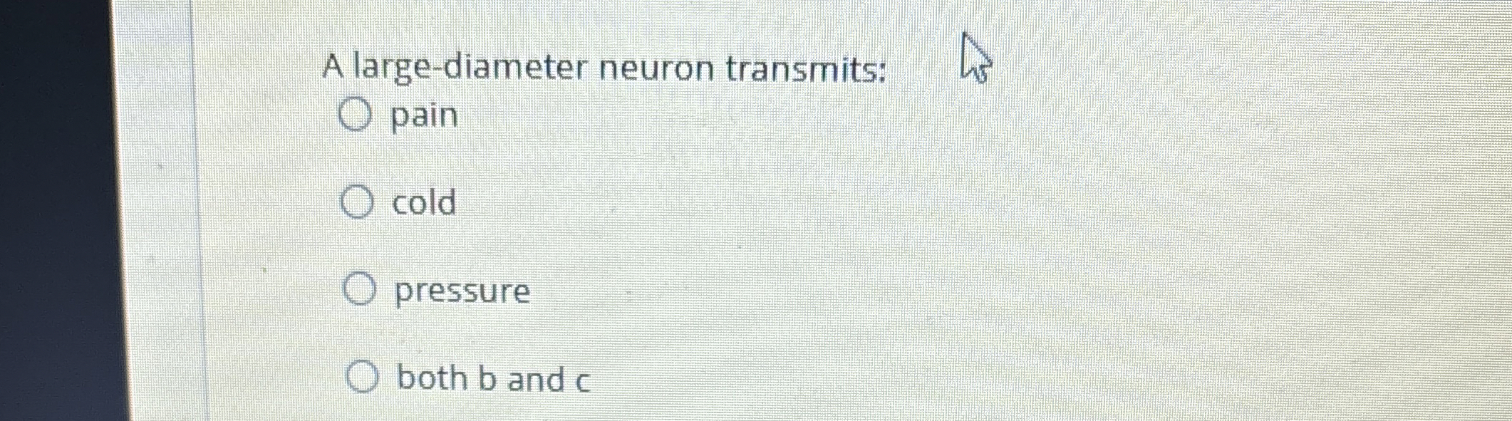 Solved A large-diameter neuron | Chegg.com