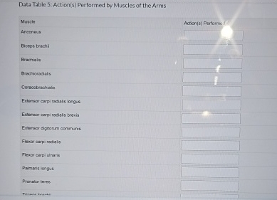 Solved Data Table 5: Action(s) ﻿Performed by Muscles of the | Chegg.com
