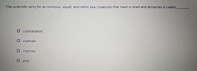 Solved The scientific term. for an octopus, squid, and other | Chegg.com