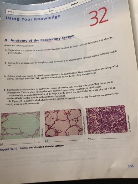 Solved Section EXERCIS Name Date Using Your Knowledge 32 A. | Chegg.com