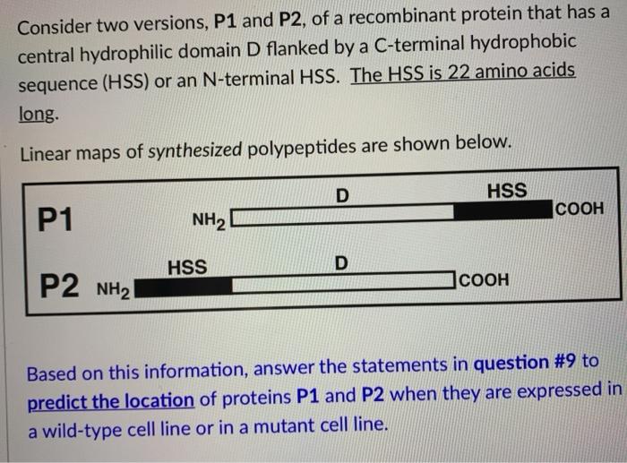 Solved Consider two versions, P1 and P2, of a recombinant | Chegg.com