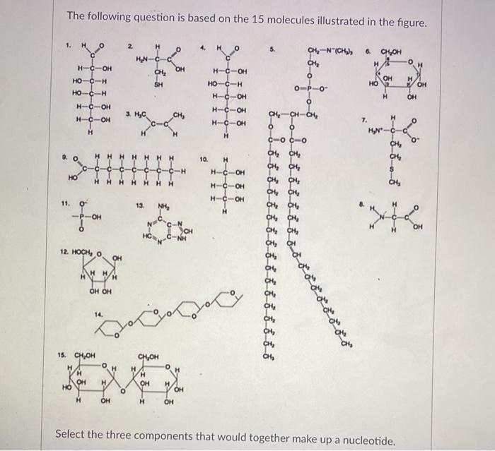 Solved The following question is based on the 15 molecules | Chegg.com