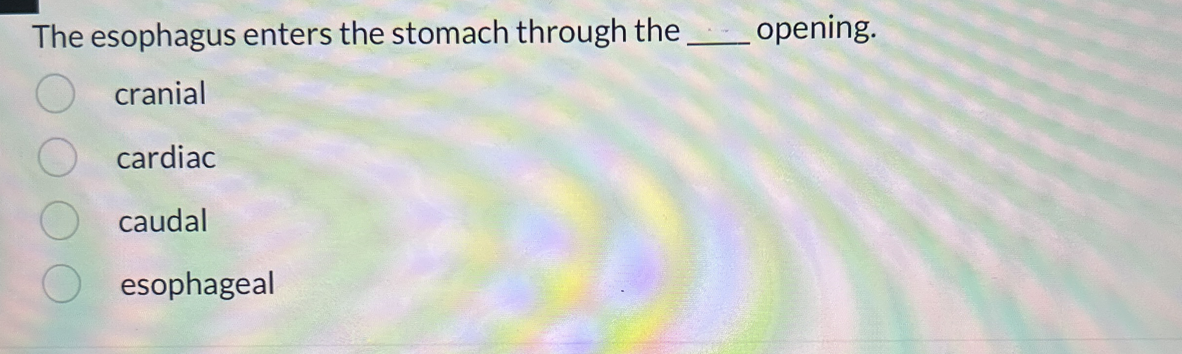 High Quality SOLUTION The esophagus enters the stomach through the q, | Chegg.com