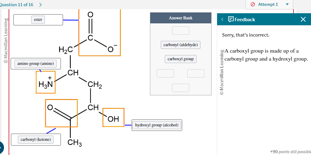 Solved Label the highlighted functional groups in this | Chegg.com
