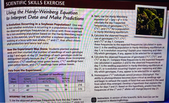 Solved SCIENTIFIC SKILLS EXERCISE Using the Hardy-Weinberg | Chegg.com