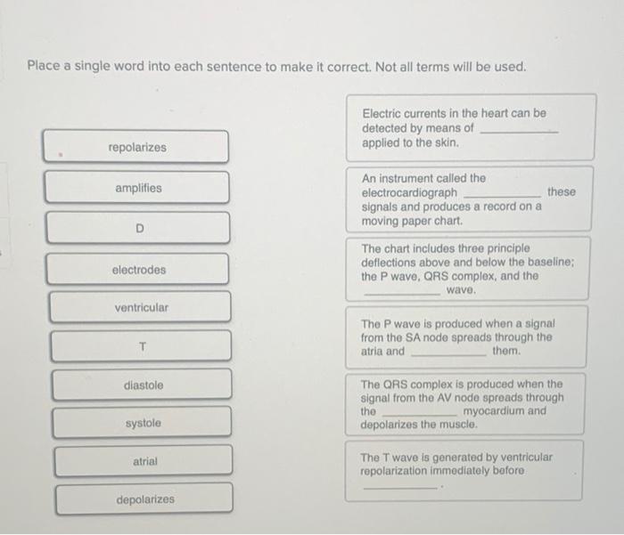 Solved Place a single word into each sentence to make it | Chegg.com