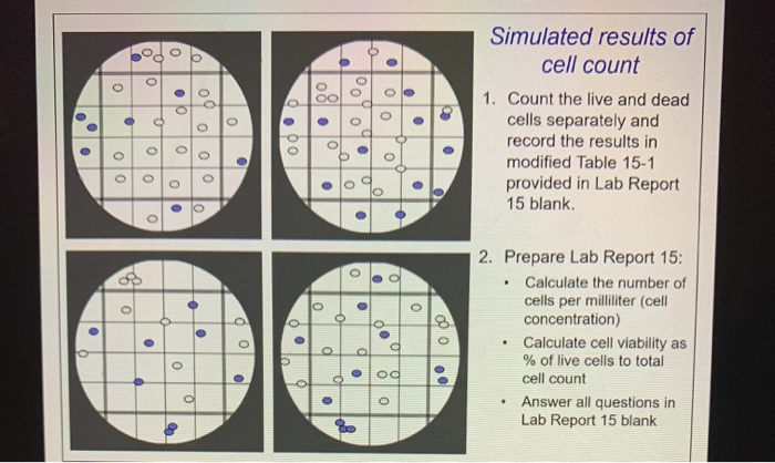 Solved Lab 00 Report Questions: 1. Does cell concentration | Chegg.com