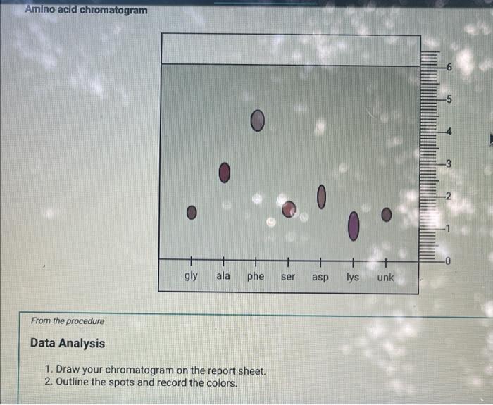 Solved Chromatography 1. Obtain a clean and dry 600ml beaker | Chegg.com