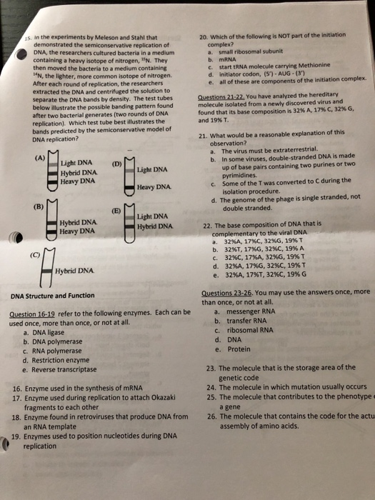 AP Biology Test on DNA Structure, DNA Function, | Chegg.com