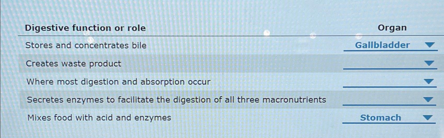 Solved Digestive function or roleOrganStores and | Chegg.com