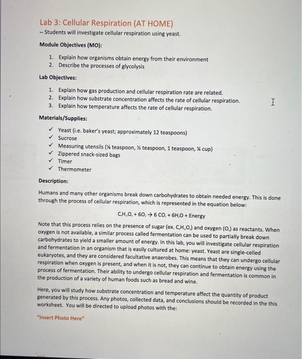 Solved Lab 3: Cellular Respiration (AT HOME) - Students will | Chegg.com