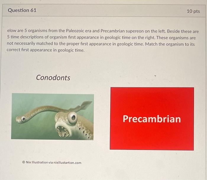 elow are 5 organisms from the Paleozoic era and | Chegg.com