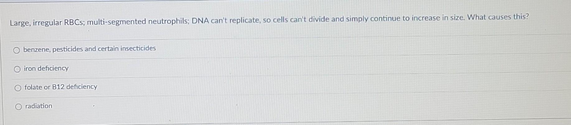 Solved Large, irregular RBCs; multi-segmented | Chegg.com