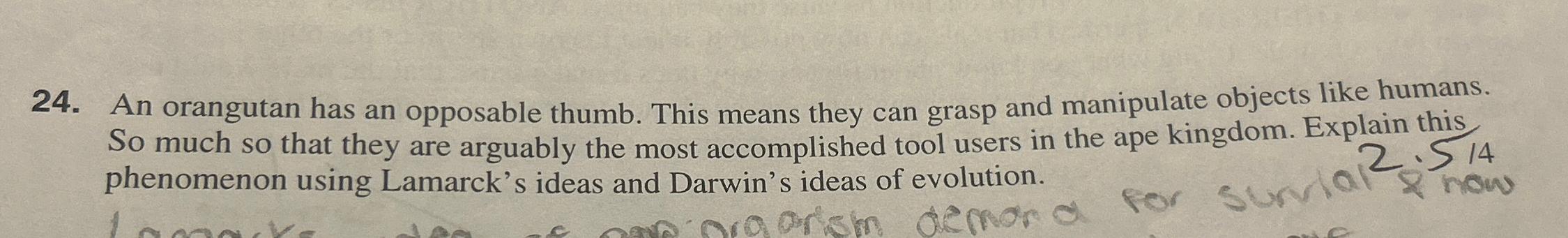Solved An orangutan has an opposable thumb. This means they | Chegg.com