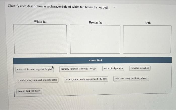 Solved Classify each description as a characteristic of | Chegg.com