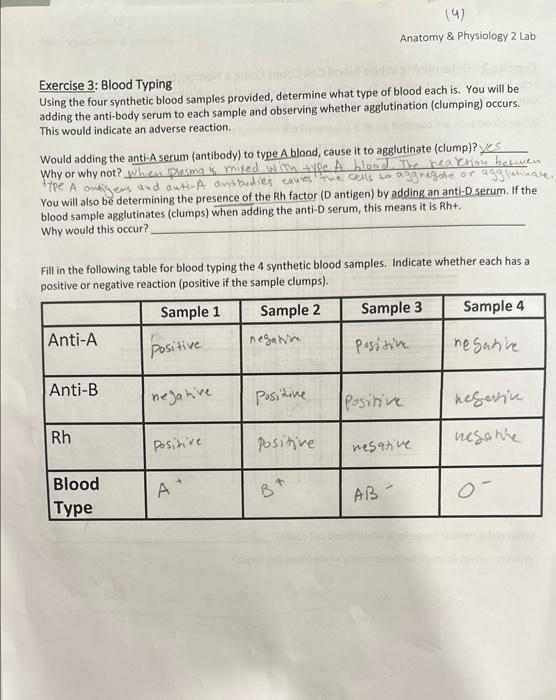 Solved Exercise 3: Blood Typing Using the four synthetic | Chegg.com