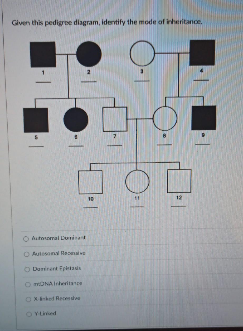 Solved Given this pedigree diagram, identify the mode of | Chegg.com