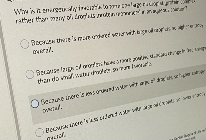 Solved Why is it energetically favorable to form one large | Chegg.com