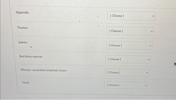 Solved Appendix Spleen Red bone marrow Mucosa- associated | Chegg.com