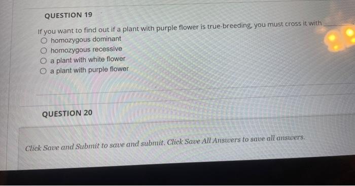 Solved Chiasma is an important structure during mitosis | Chegg.com
