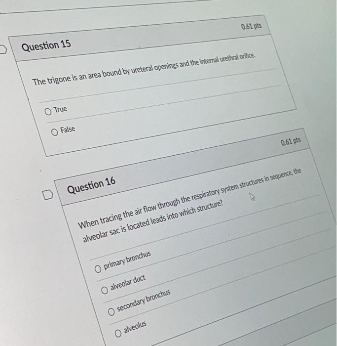 Solved 0.61 pts Question 15 The trigone is an area bound by | Chegg.com