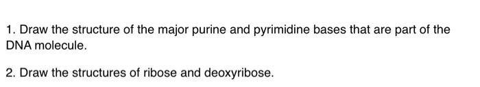 Solved 1 Draw The Structure Of The Major Purine And