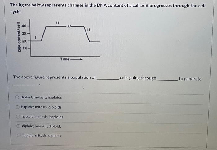 Solved The figure below represents changes in the DNA | Chegg.com