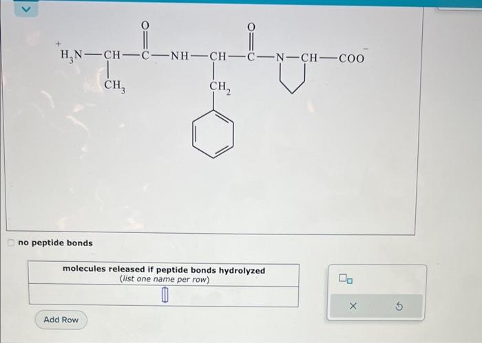 Solved Highlight each peptide bond in the molecule below. In | Chegg.com