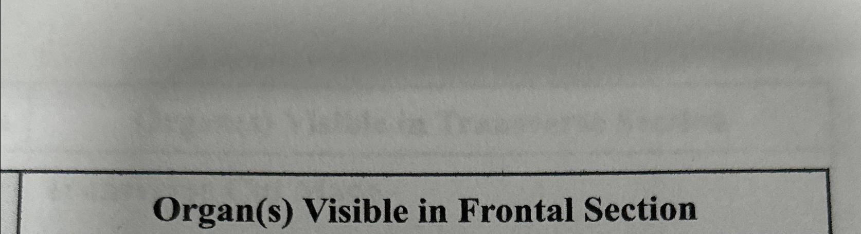 Solved Organ(s) ﻿Visible in Frontal Section | Chegg.com