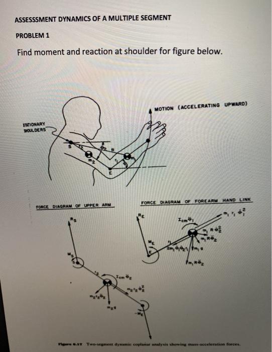 Solved ASSESSSMENT DYNAMICS OF A MULTIPLE SEGMENT PROBLEM 1 | Chegg.com