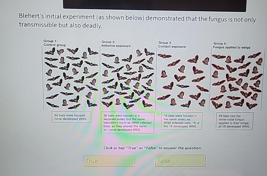 Solved Blehert's initial experiment (as shown below) | Chegg.com