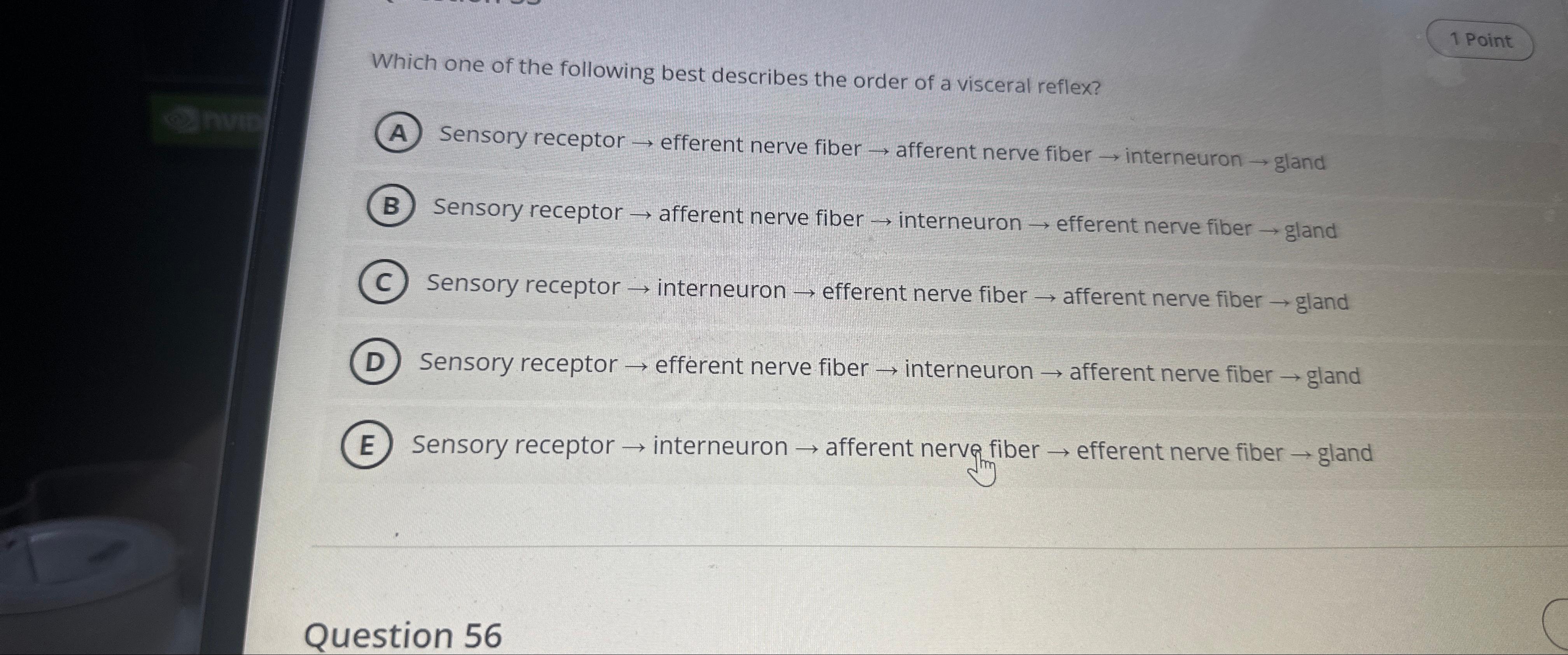 Solved 1 ﻿PointWhich one of the following best describes the | Chegg.com