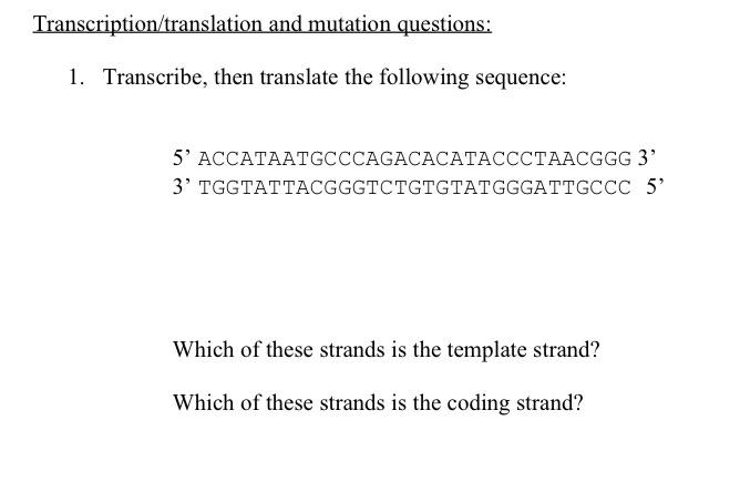Solved B. Chapter 3: Review of Gene Expression Questions | Chegg.com
